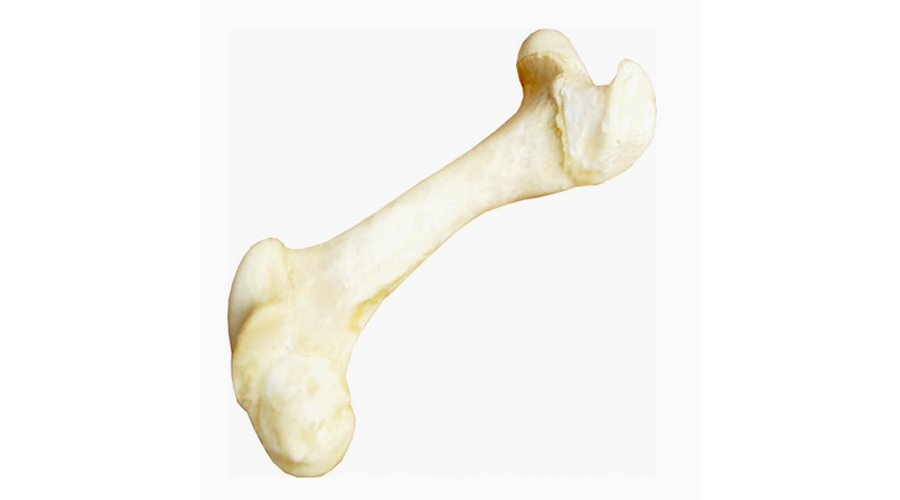 RD415-Fehér marha csont 50cm - Jutalomfalat